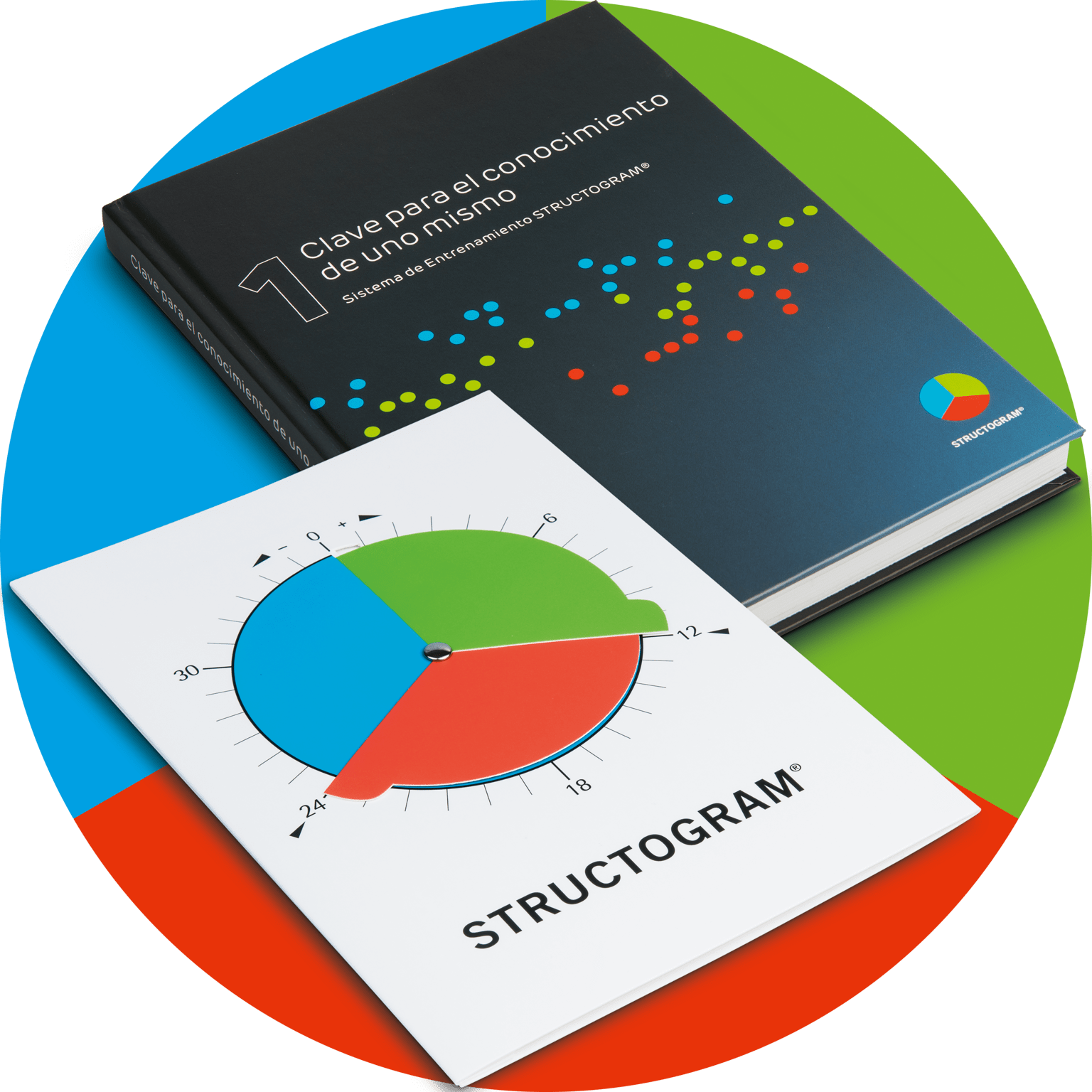 Los 3 Cerebros – Structogram